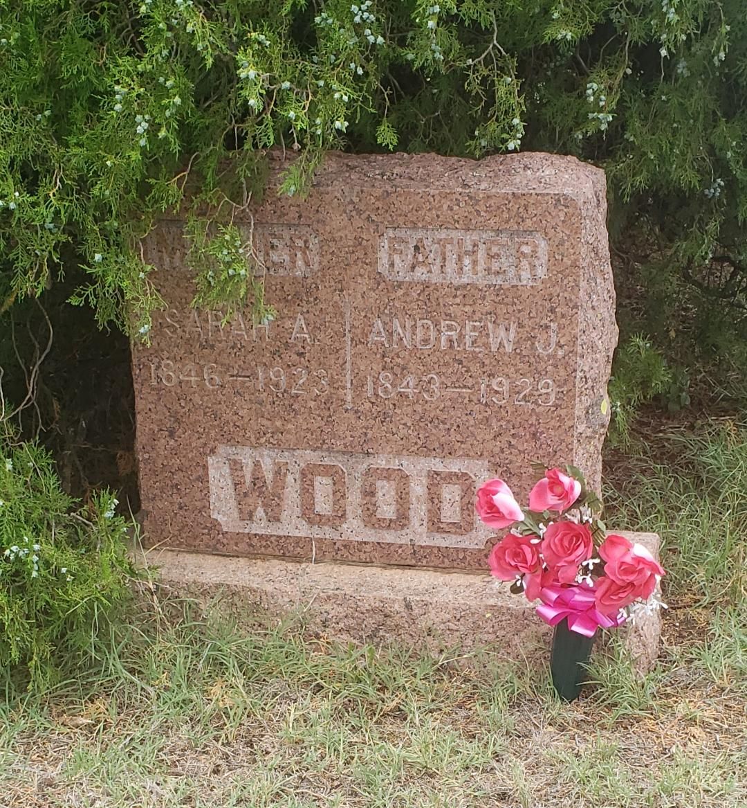 Andrew Jackson Wood | Bookie on the Trail